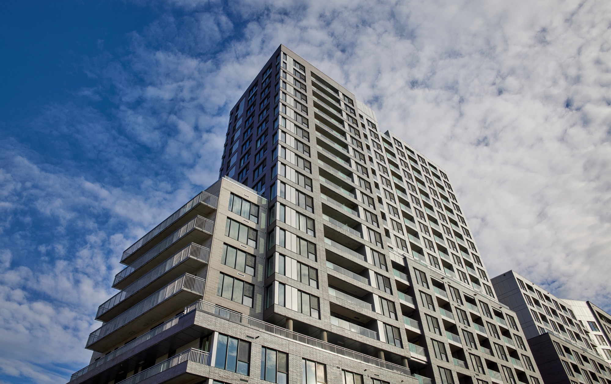 Building in the middle of the anthill - Steel Design